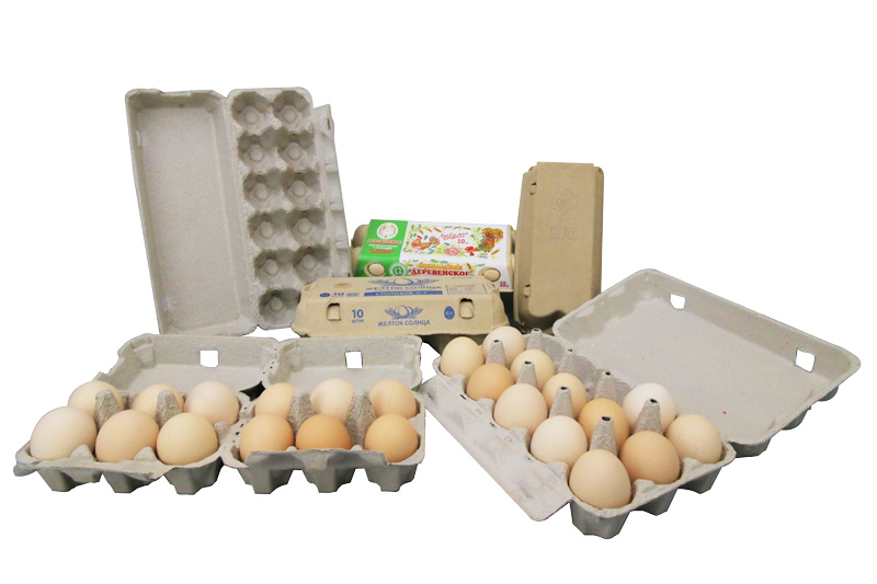 Types and Applications of Pulp Molded Products | Besure Technology